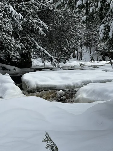 Best Hikes and Trails in Big Pokiok Nature Park | AllTrails