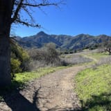 Bulldog Loop Trail, California - 750 Reviews, Map | AllTrails