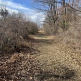Morgan Run Natural Environmental Area Trails, Maryland - 417 Reviews ...