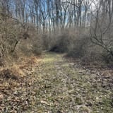 Morgan Run Natural Environmental Area Trails, Maryland - 417 Reviews ...