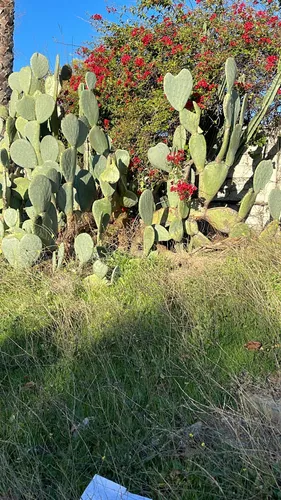 Best Hikes and Trails in Porter Ranch | AllTrails