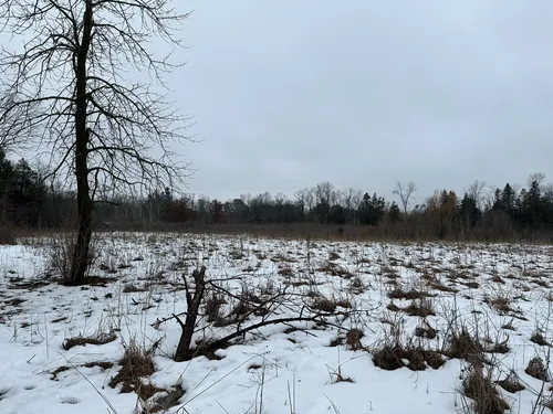 Best Beach Trails in Mequon | AllTrails