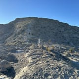 Lone Mountain Trail, Nevada - 491 Reviews, Map | AllTrails