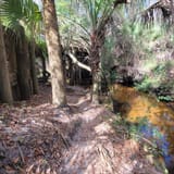 Myron and Helen Gibbons Nature Preserve Loop, Florida - 234 Reviews ...