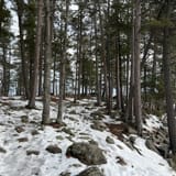 Wetmore Landing Shoreline Trail, Michigan - 136 Reviews, Map | AllTrails