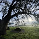 East Ridge and Cronan Ranch Loop, California - 1,111 Reviews, Map ...