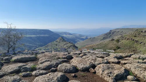 Gamla Nature Reserve: de beste routes om te wandelen | AllTrails