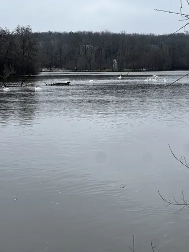 Best Hikes and Trails in Furstenberg Nature Area | AllTrails