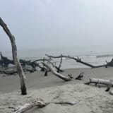 Morris Island Lighthouse Trail, South Carolina - 153 Reviews, Map ...