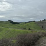 Timberhill Park Trail, California - 228 Reviews, Map | AllTrails