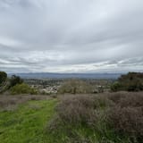 Timberhill Park Trail, California - 228 Reviews, Map | AllTrails