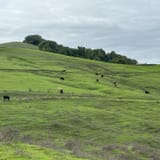 Timberhill Park Trail, California - 228 Reviews, Map | AllTrails