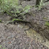 Timberhill Park Trail, California - 228 Reviews, Map | AllTrails