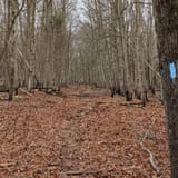 Eagle's Nest via Sand Spring and Tom Lowe Trails Loop, Pennsylvania ...
