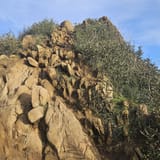 Homestead to Blue Ridge Loop, California - 2,745 Reviews, Map | AllTrails