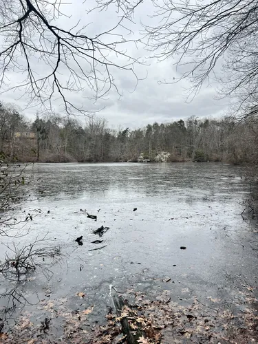 Best Hikes and Trails in Montgomery Pinetum Park | AllTrails
