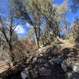 Carlito Springs Loop, New Mexico - 462 Reviews, Map | AllTrails