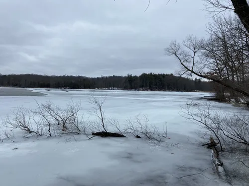 Best Hikes and Trails in Addison Oaks County Park | AllTrails