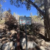 Carlito Springs Loop, New Mexico - 462 Reviews, Map | AllTrails