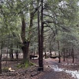 Sprague Brook Park Trail, New York - 1,290 Reviews, Map | AllTrails