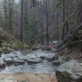 Terwilliger (Cougar) Hot Springs, Oregon - 328 Reviews, Map | AllTrails