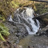 Mima Falls Loop, Washington - 1,410 Reviews, Map | AllTrails