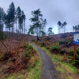 Mima Falls Loop, Washington - 1,410 Reviews, Map | AllTrails