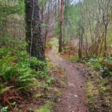 Mima Falls Loop, Washington - 1,410 Reviews, Map | AllTrails