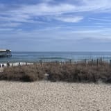 Gary Shell Cross City Trail, North Carolina - 239 Reviews, Map | AllTrails