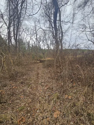 Best Hikes and Trails in Whitney State Forest | AllTrails