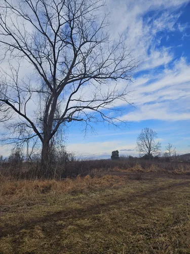 Best Hikes and Trails in Whitney State Forest | AllTrails