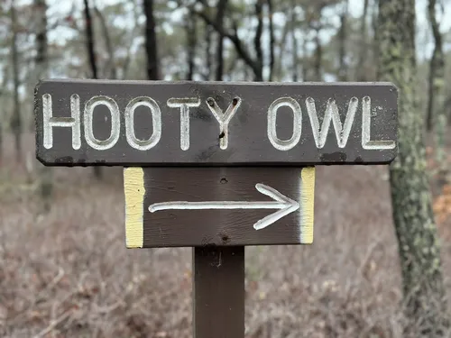 Best Hikes and Trails in Shawme-Crowell State Forest | AllTrails