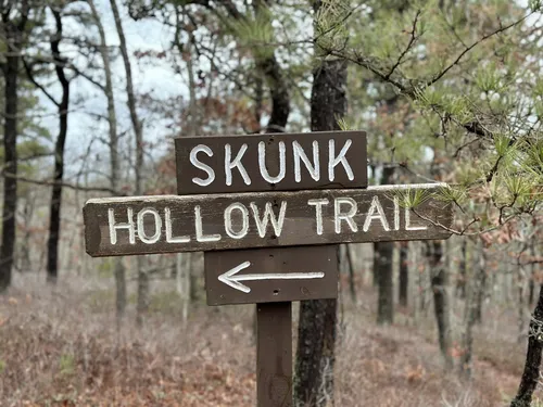 Best Hikes and Trails in Shawme-Crowell State Forest | AllTrails