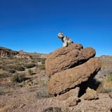 Monolith Garden Trail, Arizona - 414 Reviews, Map | AllTrails