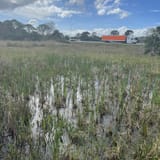 Brevard Zoo Linear Park Trail, Florida - 831 Reviews, Map | AllTrails