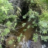 Brevard Zoo Linear Park Trail, Florida - 747 Reviews, Map | AllTrails