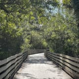 Brevard Zoo Linear Park Trail, Florida - 831 Reviews, Map | AllTrails