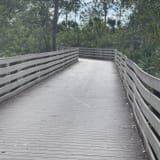 Brevard Zoo Linear Park Trail, Florida - 751 Reviews, Map | AllTrails