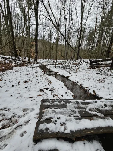 Best Hikes and Trails in Goodwin Forest | AllTrails