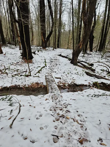 Best Hikes and Trails in Goodwin Forest | AllTrails