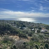 Forrestal Preserve Loop, California - 1,283 Reviews, Map | AllTrails