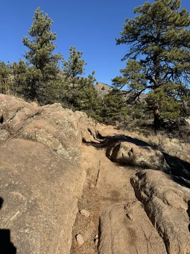 Best Hikes and Trails in Hall Ranch Open Space | AllTrails