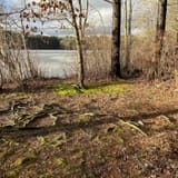 Whitehall Reservoir Loop, Massachusetts - 1,839 Reviews, Map | AllTrails