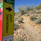Calderwood Butte Trail, Arizona - 1,789 Reviews, Map | AllTrails