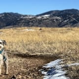 North Table Mountain via Rim Rock and North Table Mountain Loop ...