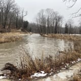 Petrifying Springs Loop, Wisconsin - 789 Reviews, Map | AllTrails