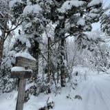 Cherry Mountain Trail, New Hampshire - 330 Reviews, Map | AllTrails