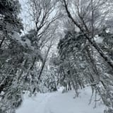 Cherry Mountain Trail, New Hampshire - 551 Reviews, Map | AllTrails