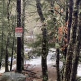 Wildcat Falls, New Hampshire - 1,906 Reviews, Map | AllTrails