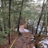 Wildcat Falls, New Hampshire - 1,906 Reviews, Map | AllTrails